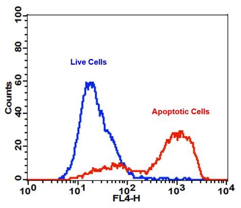 Cell Meter™ Apc Annexin V Binding Apoptosis Assay Kit Optimized For Flow Cytometry Aat Bioquest