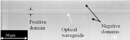 Left Evolution Of The Optical Field Along Propagation Direction For Download Scientific