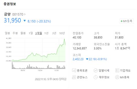 금양 주가 분석 및 전망 리튬 호재 웬수의 부모가 산다고 해도 말리겠습니다 네이버 블로그