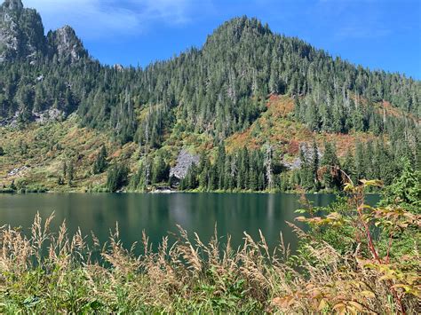 Mitacs Internship Experience At Vixi By Vixi Medium