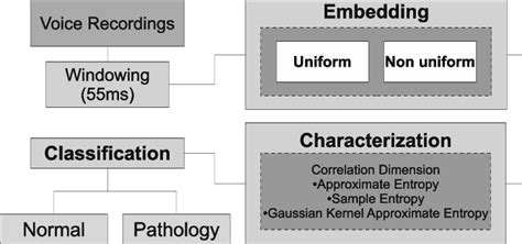 Automatic Voice Pathology Detection System Download Scientific Diagram