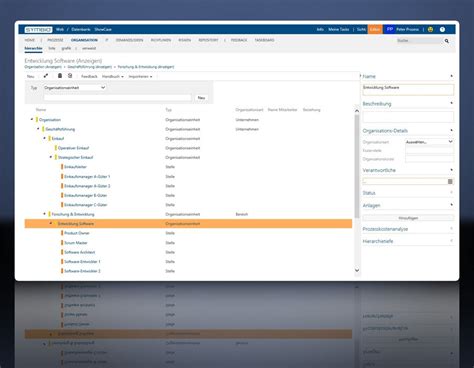 Software Symbio Business Process Management
