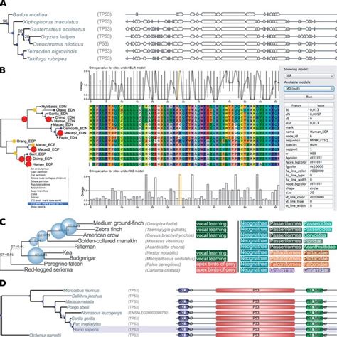 Several Phylogenetic Tree Images Generated Using The Ete Toolkit A Download Scientific