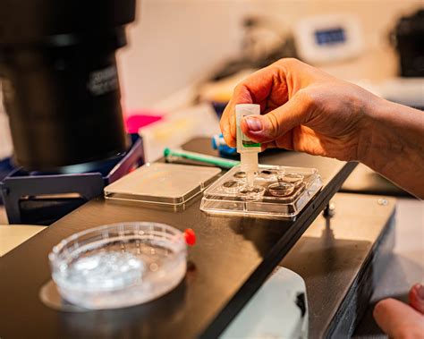 Common And Often Controllable Causes Of A Failed Flush GenOvations