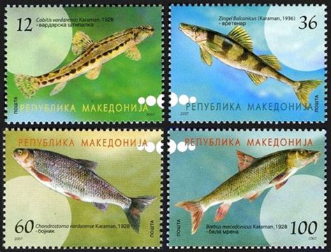 Ендемични видови риби пред исчезнување Окно мк