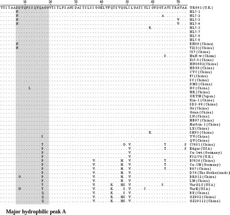 Sequence Analysis Of The Vp2 Hypervariable Region Of Eight Very