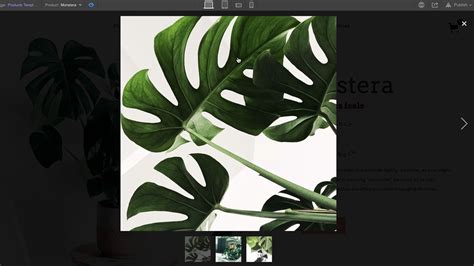 Cms Api Webflow Updates