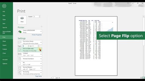 print worksheets on separate pages excel