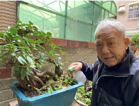 高手在民間百家慶生物科技公司董事長莊文德研發無毒除草劑成功ㄧ噴見效連根拔起 台灣華報