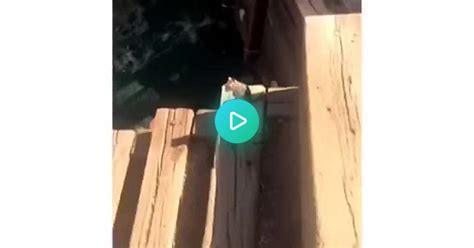 The Caption Sums It Better Than Any Title Would Album On Imgur