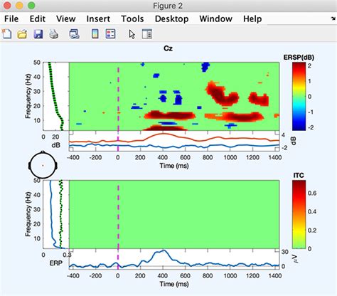 D Time Frequency Eeglab Wiki