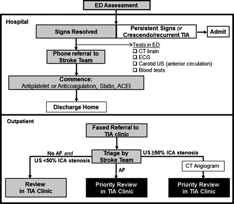 Monash Transient Ischemic Attack Triaging Treatment Stroke