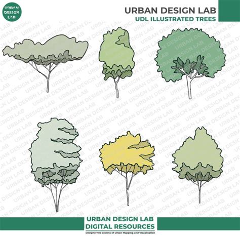 17 Illustarted Trees For Architecture Drawing