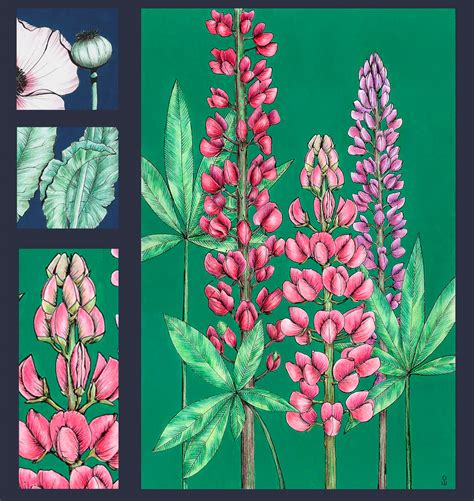 Flower Blocking Botanical Illustration On Behance