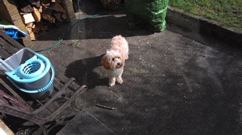 Asus Zenfone Mobile Review Kitguru