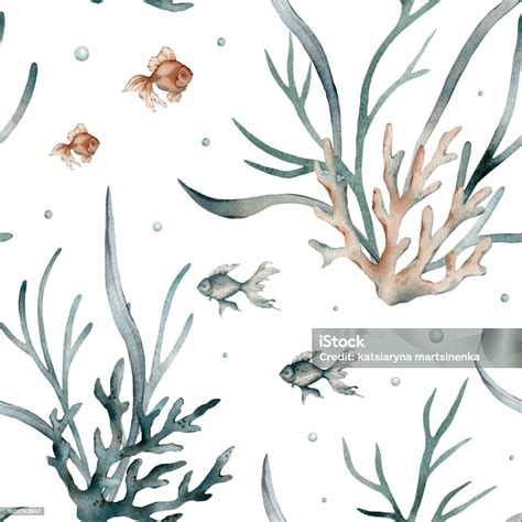 수채화 해초와 산호 물고기와 원활한 패턴 손으로 그린 조개껍데기 패턴 수채화 빈티지 바다 배경 원래 손으로 그린 그림입니다 해양 디자인 0명에 대한 스톡 벡터 아트 및 기타