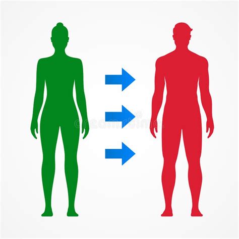 Gender Transition Stock Illustrations 325 Gender Transition Stock