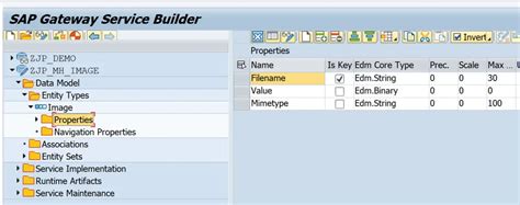 Building Odata Services 20 Media Handling Discovering Abap