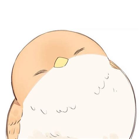 送网易云黑胶vip7天5张 新年快乐 知乎