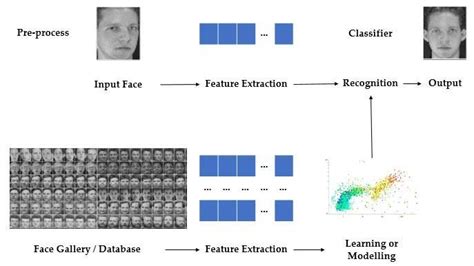 Face Recognition Workflow Download Scientific Diagram