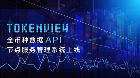Tokenview 全币种数据 Api 及节点服务管理系统