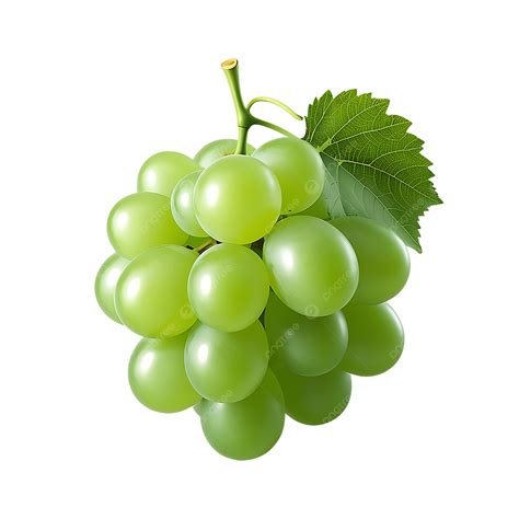 자연스러운 음영을 지닌 신선한 청포도 자연스러운 음영감의 청포도 신선한 녹색 포도 잎 유기농 과일 쇼케이스 Png 일러스트 및 이미지 에 대한 무료 다운로드 Pngtree