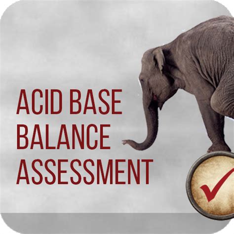 Acid Base Balance Assessment A Clinicians Guide Rachel Arthur