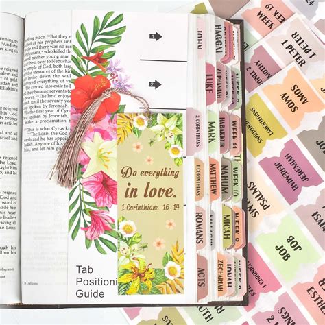 Amazon Laminated Bible Tabs Bible Index Tabs Old And New
