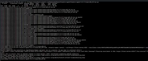 Lab Mentions To Add The Path Certificate Authorities Home Elastic Certs Ca Ca Crt But Doesn