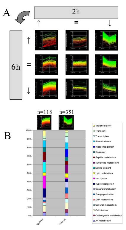 Global Pattern Of Expression Patterns Of Gene Expression Changes Are Download Scientific