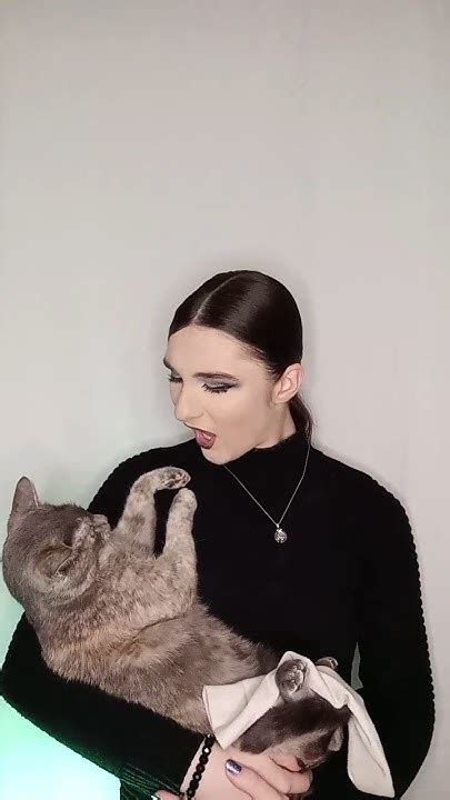 ️out The Window ️ Javadoodles Daniellatousson Window Cat Shorts Art Memes Youtube