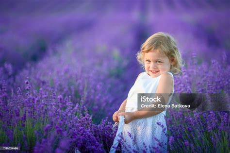 하얀 드레스와 라벤더 부케와 웃는 얼굴로 귀여운 얼굴과 좋은 머리와 모자에 라벤더 필드에 서 있는 곱슬 여자 귀여운에 대한 스톡 사진 및 기타 이미지 Istock