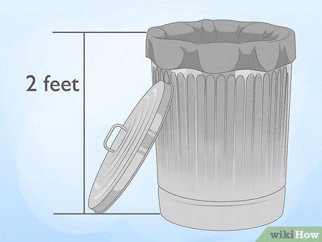 How To Catch A Mouse With Pictures WikiHow