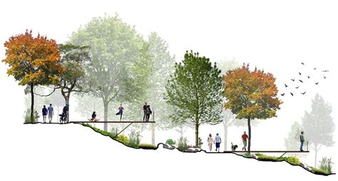 Landscape Architecture Section Drawing