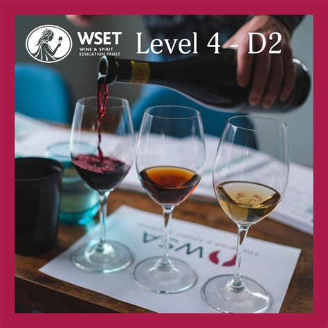 Wset Level 4 Diploma In Wines Advance Your Expertise — The Wine And Spirit Archive Education