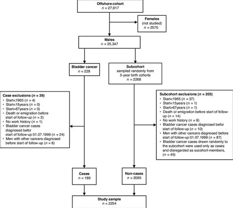 Study Flowchart Overview Of The Study Design And Sample From The