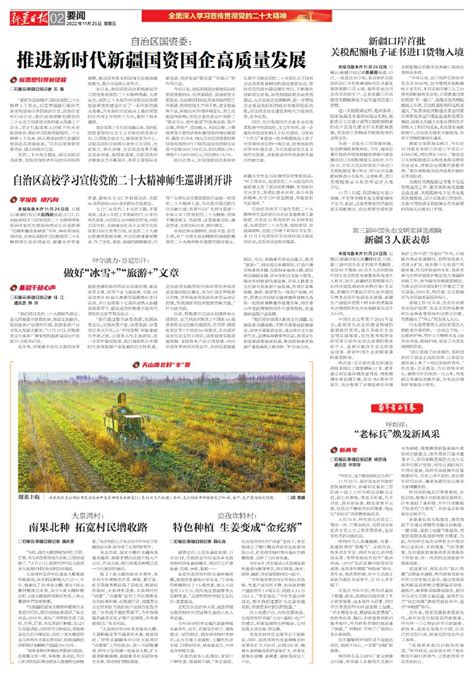 推进新时代新疆国资国企高质量发展 A02要闻 2022 11 25 新疆日报