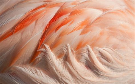 Top 20 Fallibility Examples And Definition Bitglint