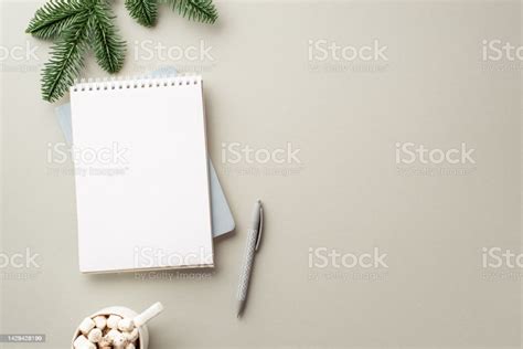 새해 개념 카피 스페이스가있는 고립 된 회색 배경에 마시멜로와 소나무 가지가있는 음료의 오픈 노트북 펜 머그잔의 상단보기 사진 0명에 대한 스톡 사진 및 기타 이미지