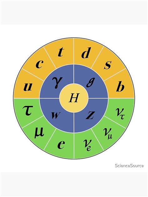 Round Circular Standard Model Particle Physics Quantum Physics
