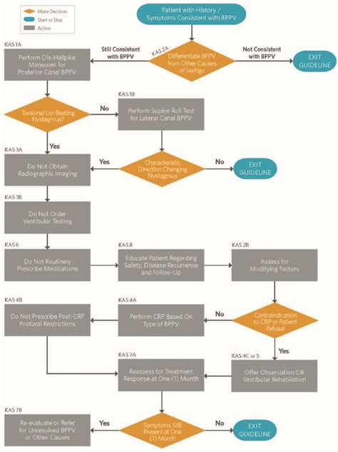 Algorithm Showing The Relationship Of Guideline Key Action Statements Algorithm Showing The Relationship Of Guideline Key Action Statements