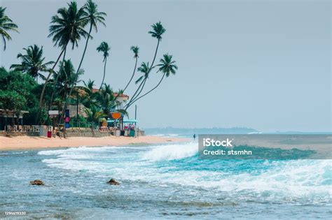 산호초와 열대 리조트에 야자수가있는 모래 해변이있는 아름다운 푸른 바다 석호 0명에 대한 스톡 사진 및 기타 이미지 0명 경관 고요한 장면 Istock
