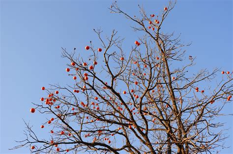 Some Common Errors In Python Programming By Fuzzy Python In Plain English