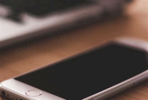 Graphic Florida Woman Films Herself Having Sex With Pet Chihuahua For Graphic Florida Woman Films Herself Having Sex With Pet Chihuahua For