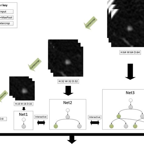 Partial Architecture Of Densebtnet Represented In A Form Similar To