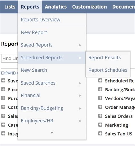 Exploring Magento 2 Oracle Netsuite Erp Integration Reports Firebear