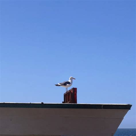 Visual Communications Assignment 2 On Behance