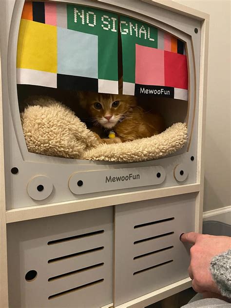 Tora Came Home Today Im So Excited Scrolller