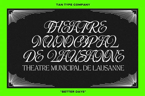 Script Display Serif Typeface Behance