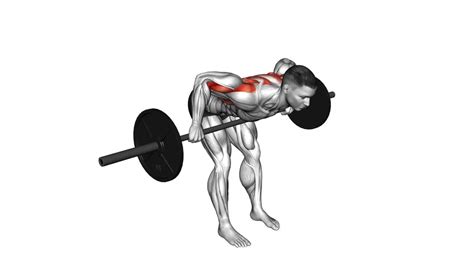 Barbell Bent Over Row Ultimate Video Guide And Expert Tips